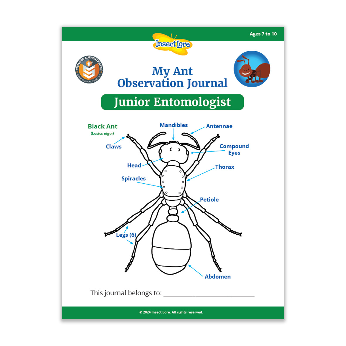 My Ant Observation Journal (Ages 7-10) | Insect Lore