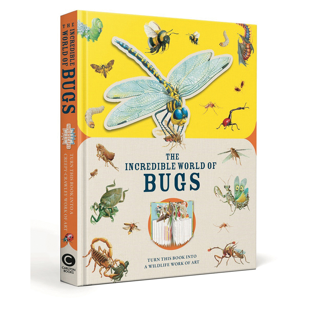The Incredible World of Bugs Book | Insect Lore