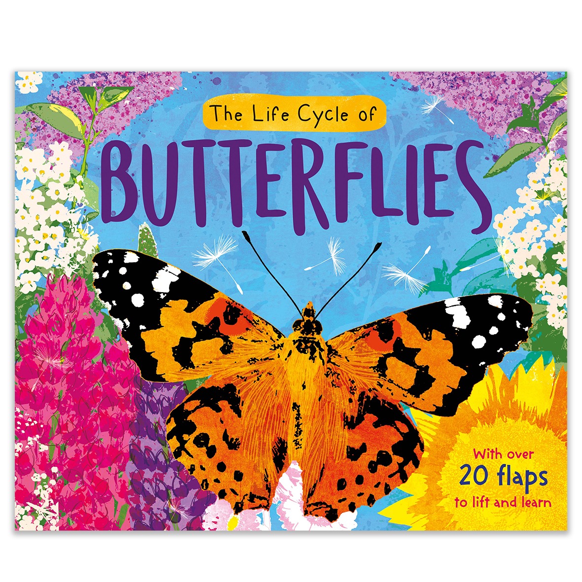 The Life Cycle of Butterflies Lift-the-Flap Book | Insect Lore