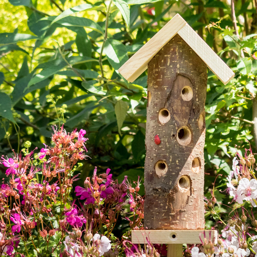 Ladybird and Insect Tower | Insect Lore